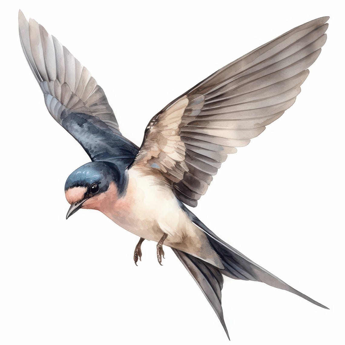 10 Swallow Clipart Bundle, Flying Bird Art Illustration, Printable ...