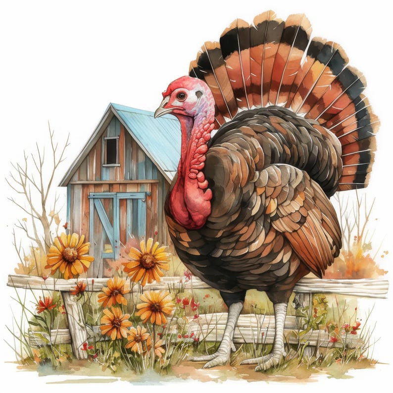 10 Turkey Farm Clipart Bundle, Rustic Poultry Artwork, Printable ...