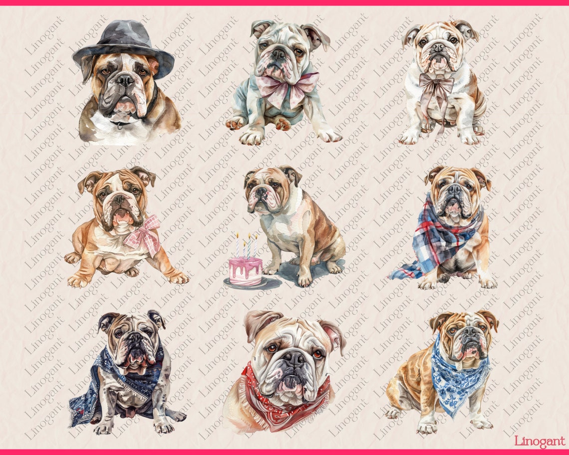 Watercolor English Bulldog Clipart Bundle, Dog Breeds Clip Art Set ...