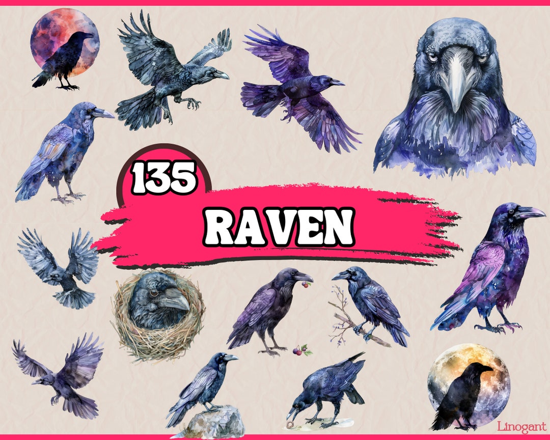 Watercolor Raven Clipart Bundle, Bird Species Clip Art Set, Animal PNG ...