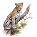 12 Watercolor Leopard Clipart Bundle, Wild Jungle Cat Illustration ...