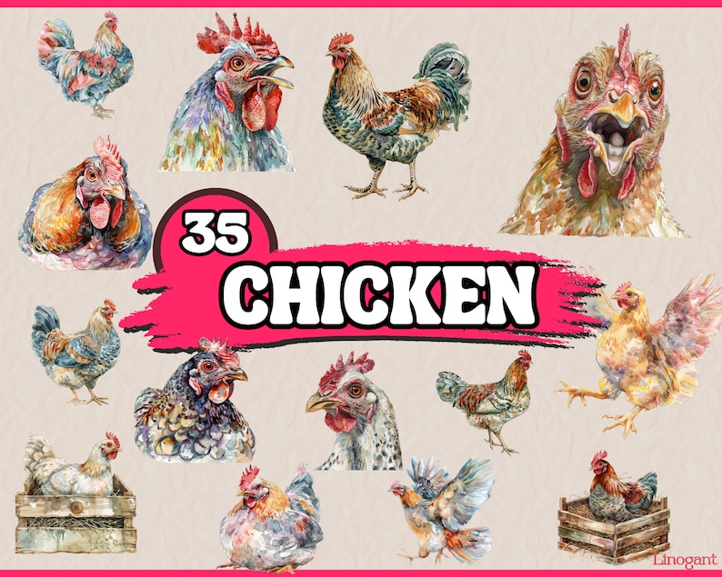 Watercolor Chicken Clipart Bundle, Bird Species Clip Art Set, Farm ...