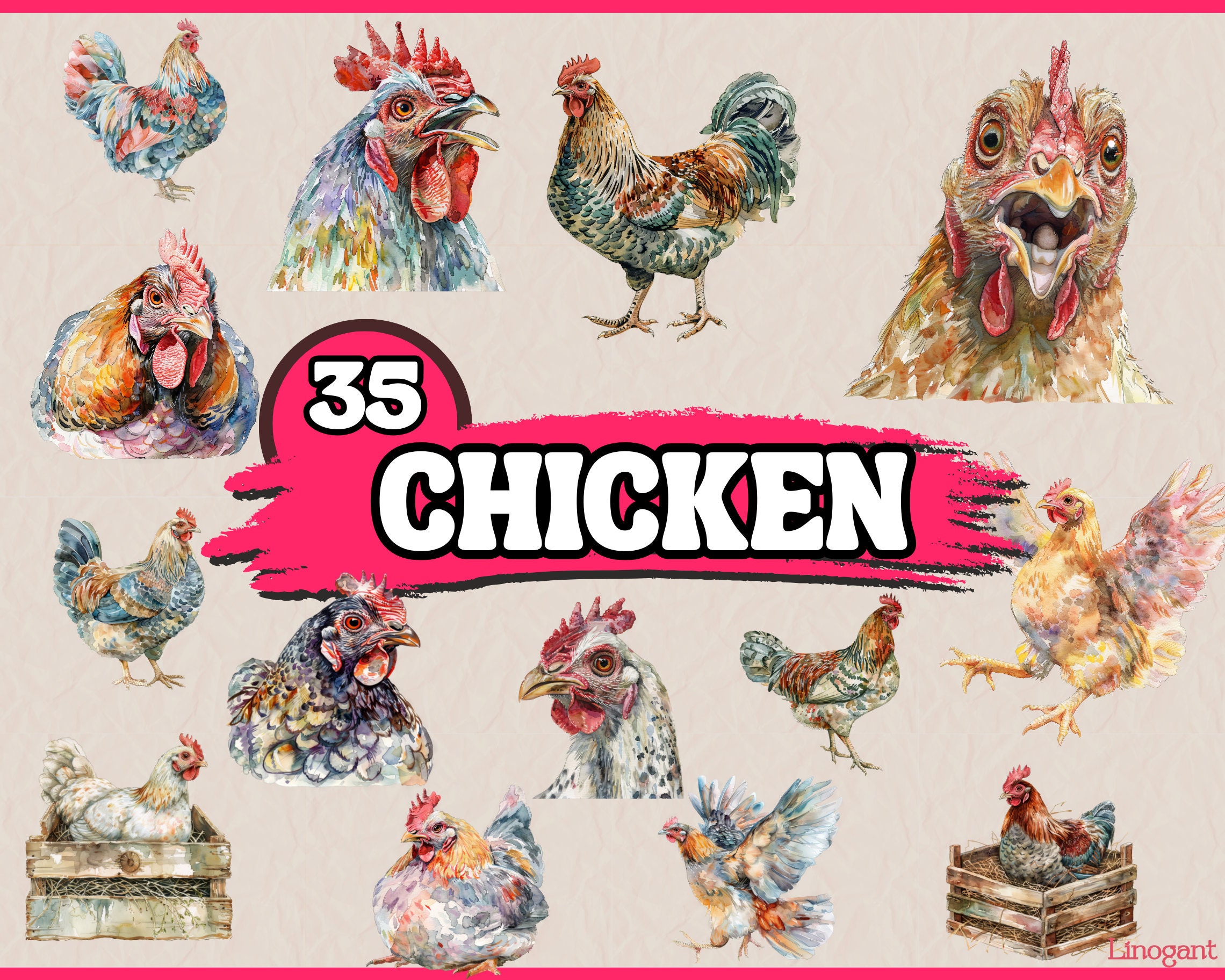 Watercolor Chicken Clipart Bundle, Bird Species Clip Art Set, Farm ...