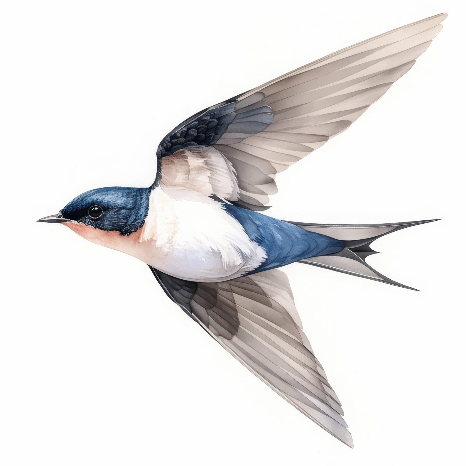10 Swallow Clipart Bundle, Flying Bird Art Illustration, Printable ...