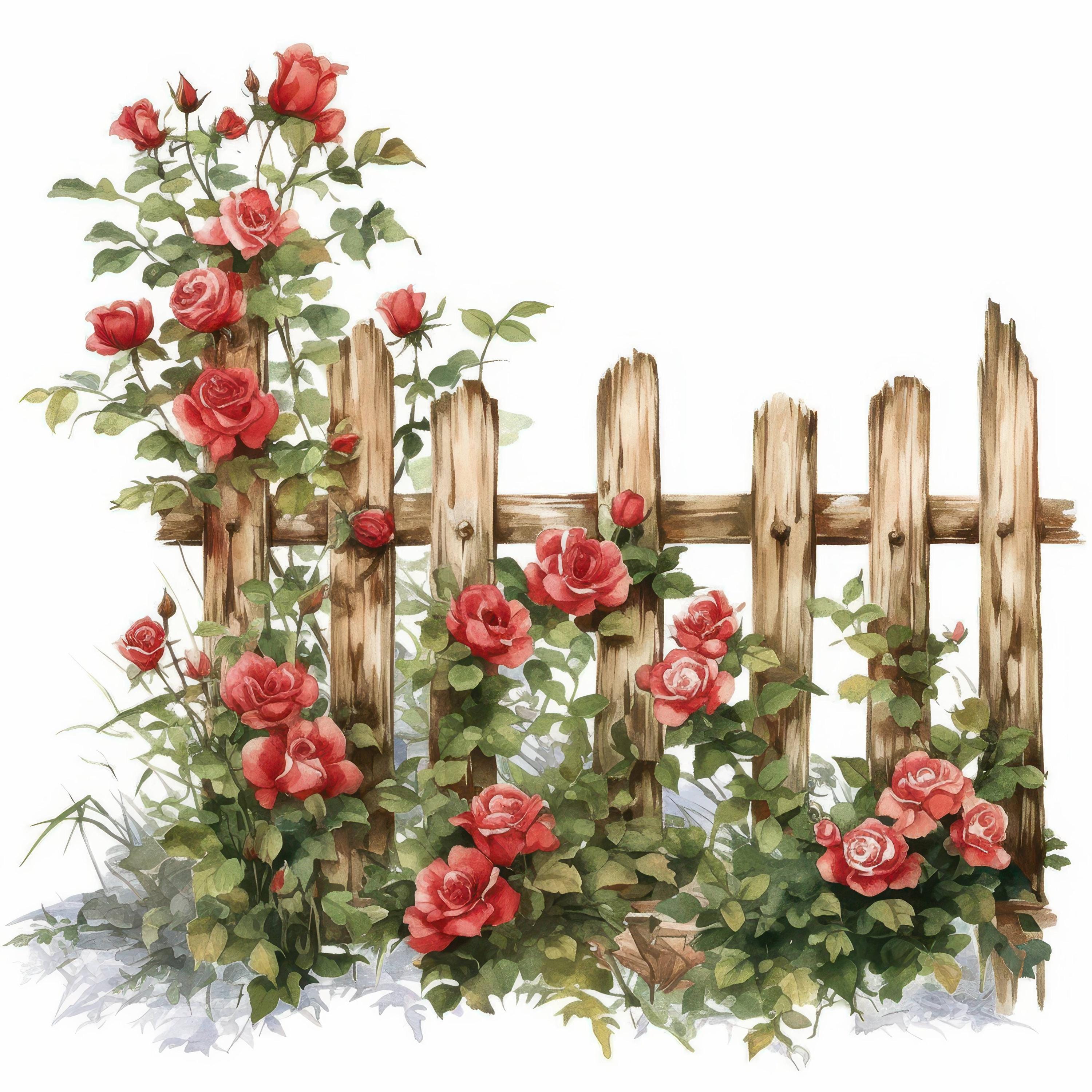 12 Rose Fence Clipart Bundle, Romantic Love Fences Illustration ...