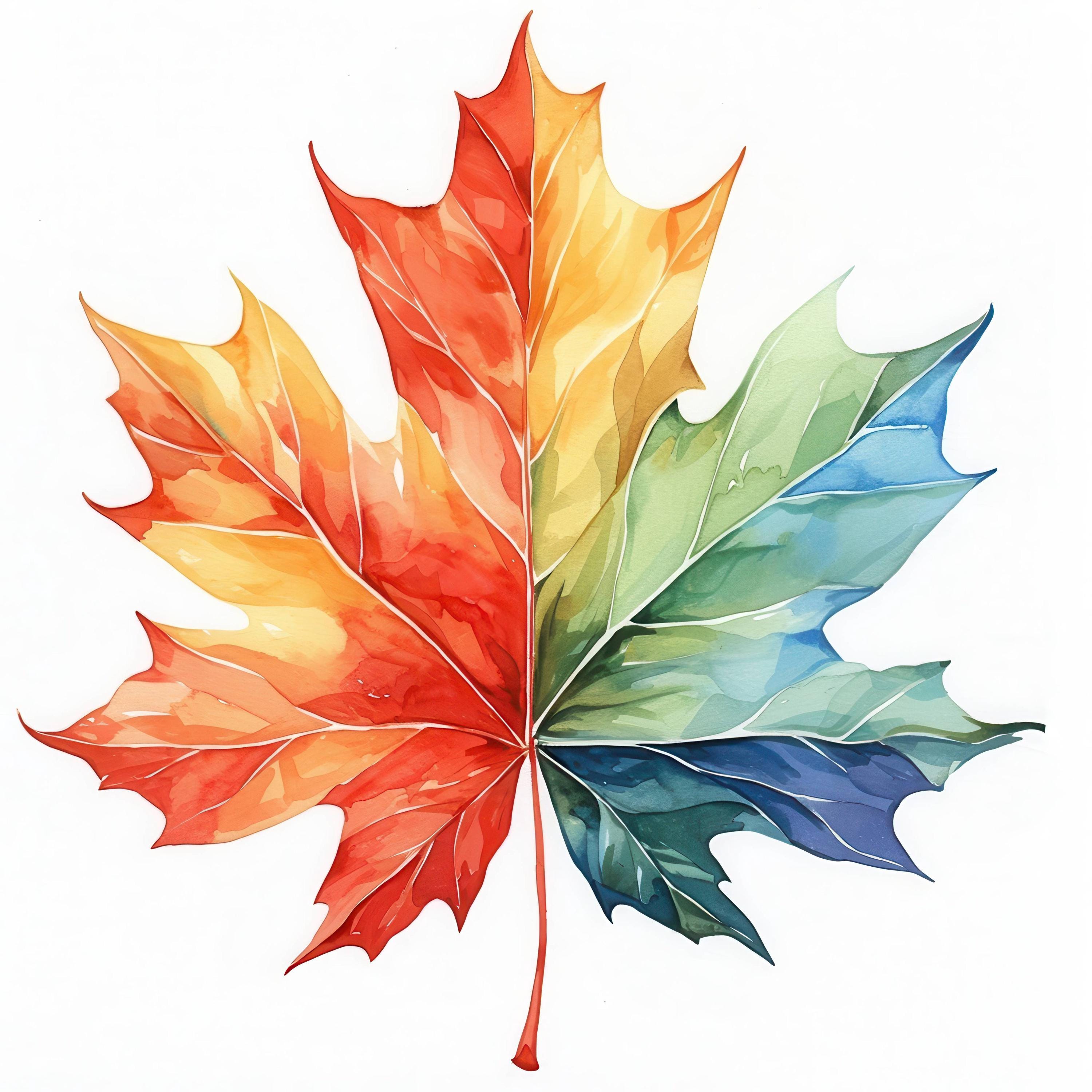 18 Maple Leaf Clipart Bundle, Elegant Autumn Foliage Illustration ...