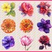 44 PNG Neon Flower With Petal Clipart, Floral Clipart With Vivid ...