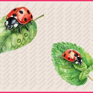Watercolor Ladybug and Leaf Clipart Bundle, Red Lady Bug on Tree Leaves ...