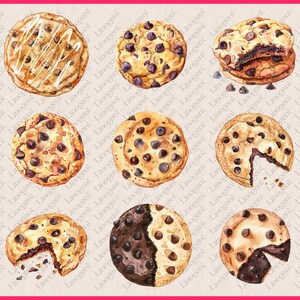 77 PNG Chocolate Chip Cookie Clipart, Tasty Chip Cookie With Mint ...