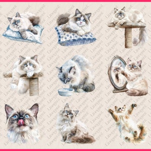74 Ragdoll Cat Clipart | Cat Sublimation Bundle | Printable Watercolor ...