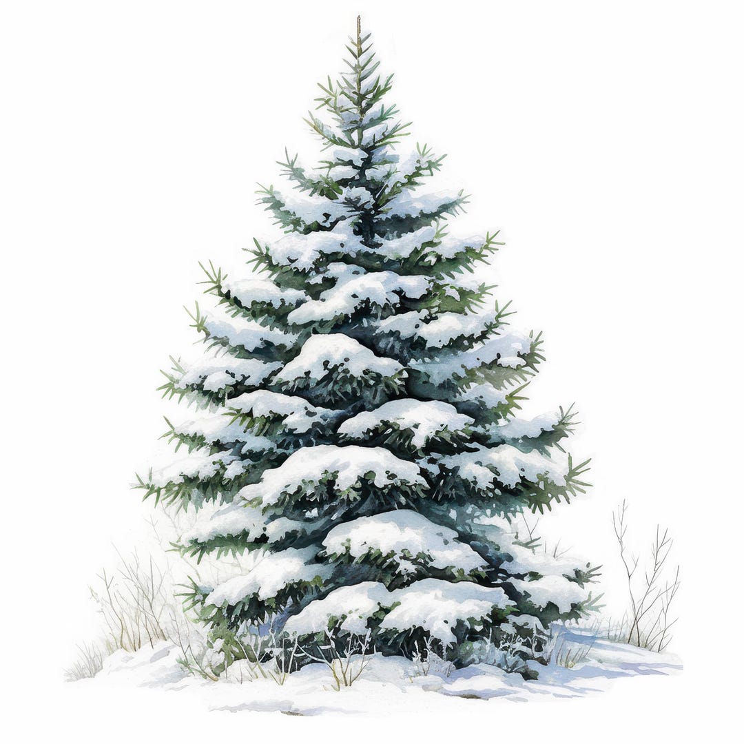 17 Watercolor Christmas Tree Clipart Bundle, Festive Pine Illustration ...