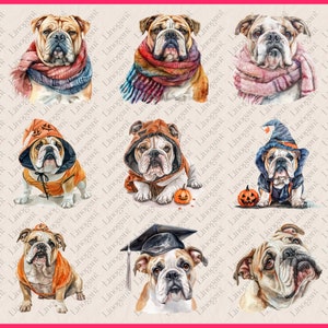 Watercolor English Bulldog Clipart Bundle, Dog Breeds Clip Art Set ...