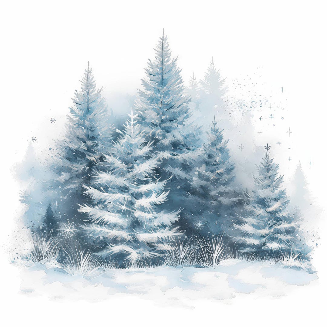 16 Winter Pine Tree Clipart Bundle, Snowy Pine Art Illustration ...