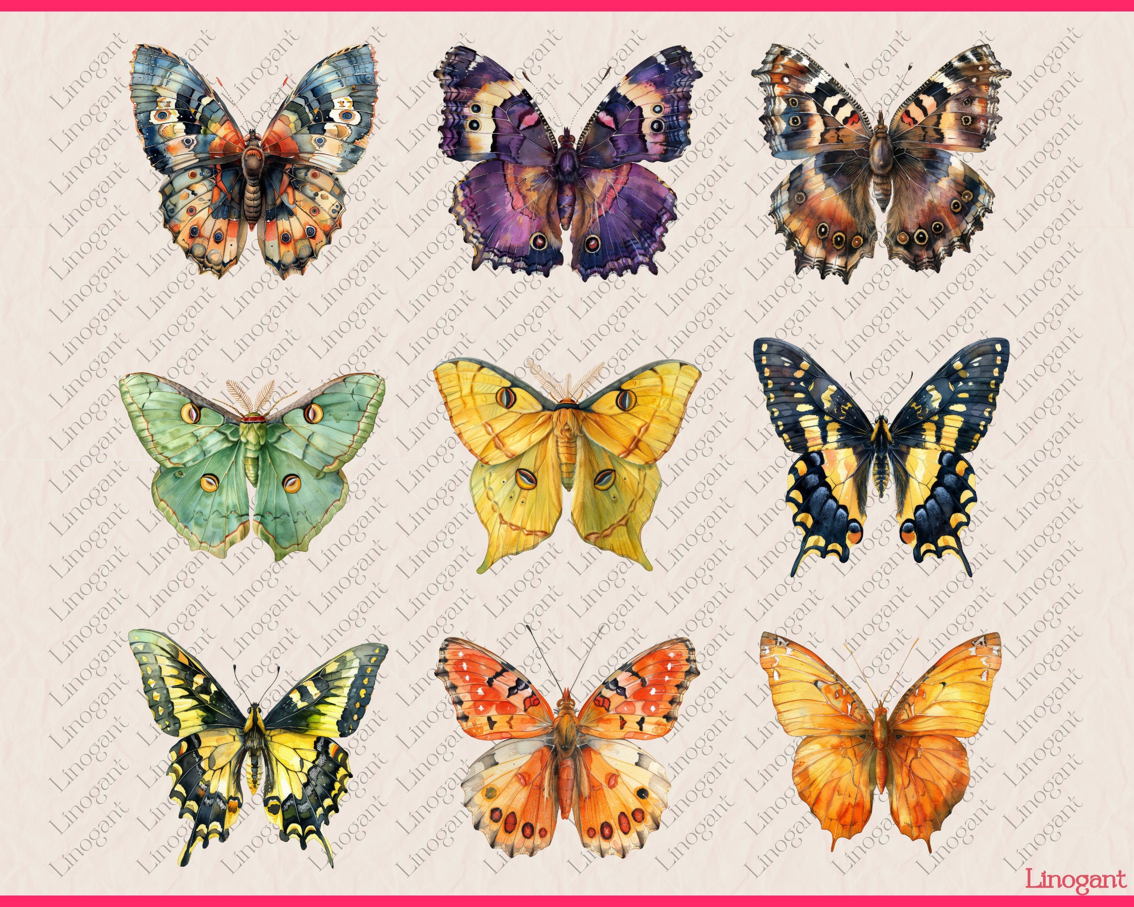 Watercolor Butterflies Clipart Bundle, Colorful Butterfly Clip Art Set ...