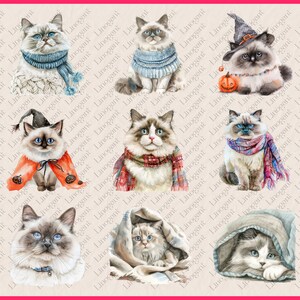 74 Ragdoll Cat Clipart | Cat Sublimation Bundle | Printable Watercolor ...