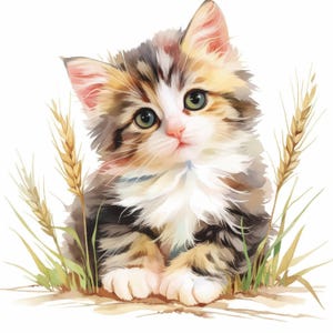 13 Cat Farm Clipart Bundle, Rustic Feline Animal Illustration ...