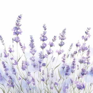 15 Lavender Clipart Floral Bundle, Soft Purple Art Illustration ...