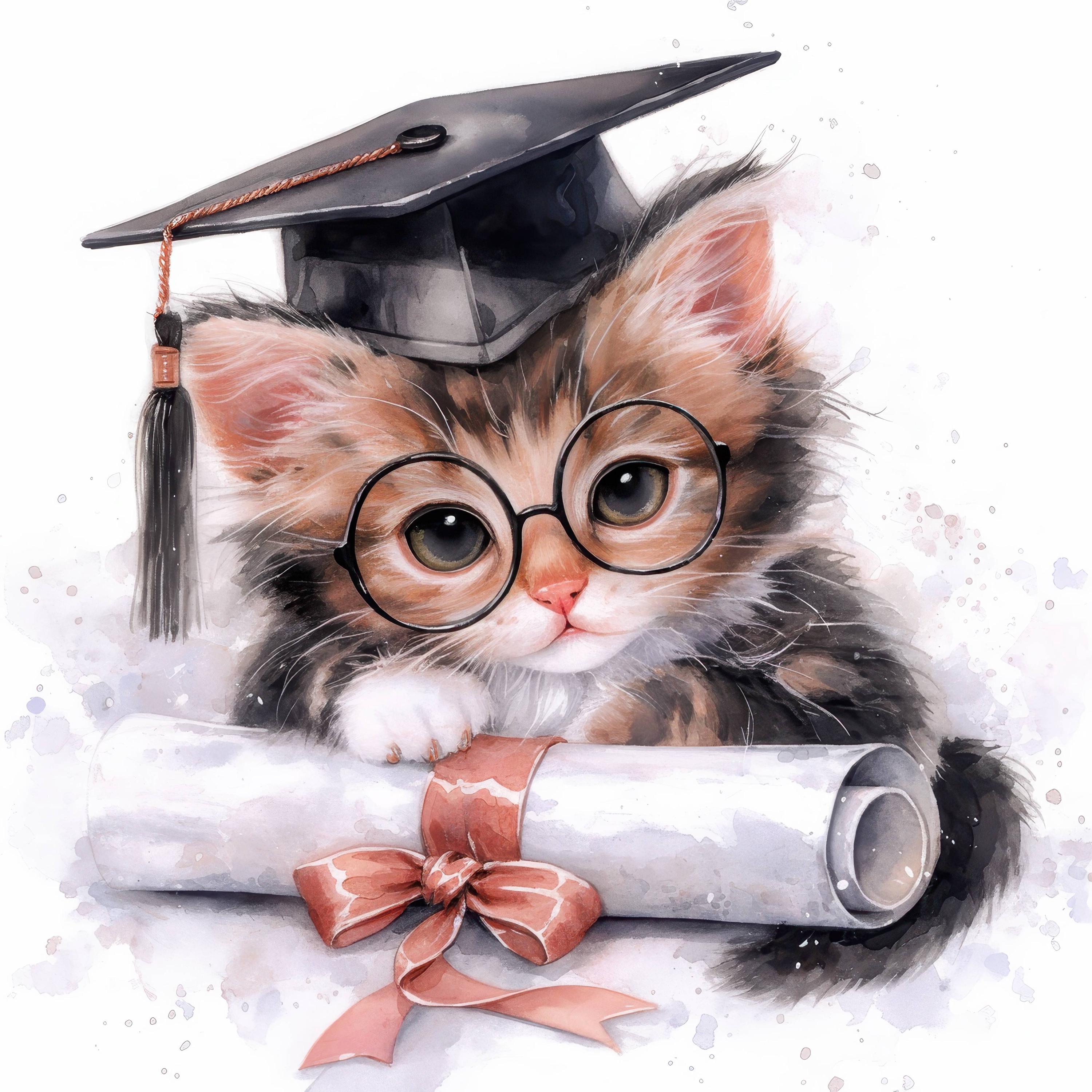 12 Graduation Cats With Glasses Clipart Bundle, Cat Illustration ...