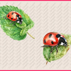 Watercolor Ladybug and Leaf Clipart Bundle, Red Lady Bug on Tree Leaves ...