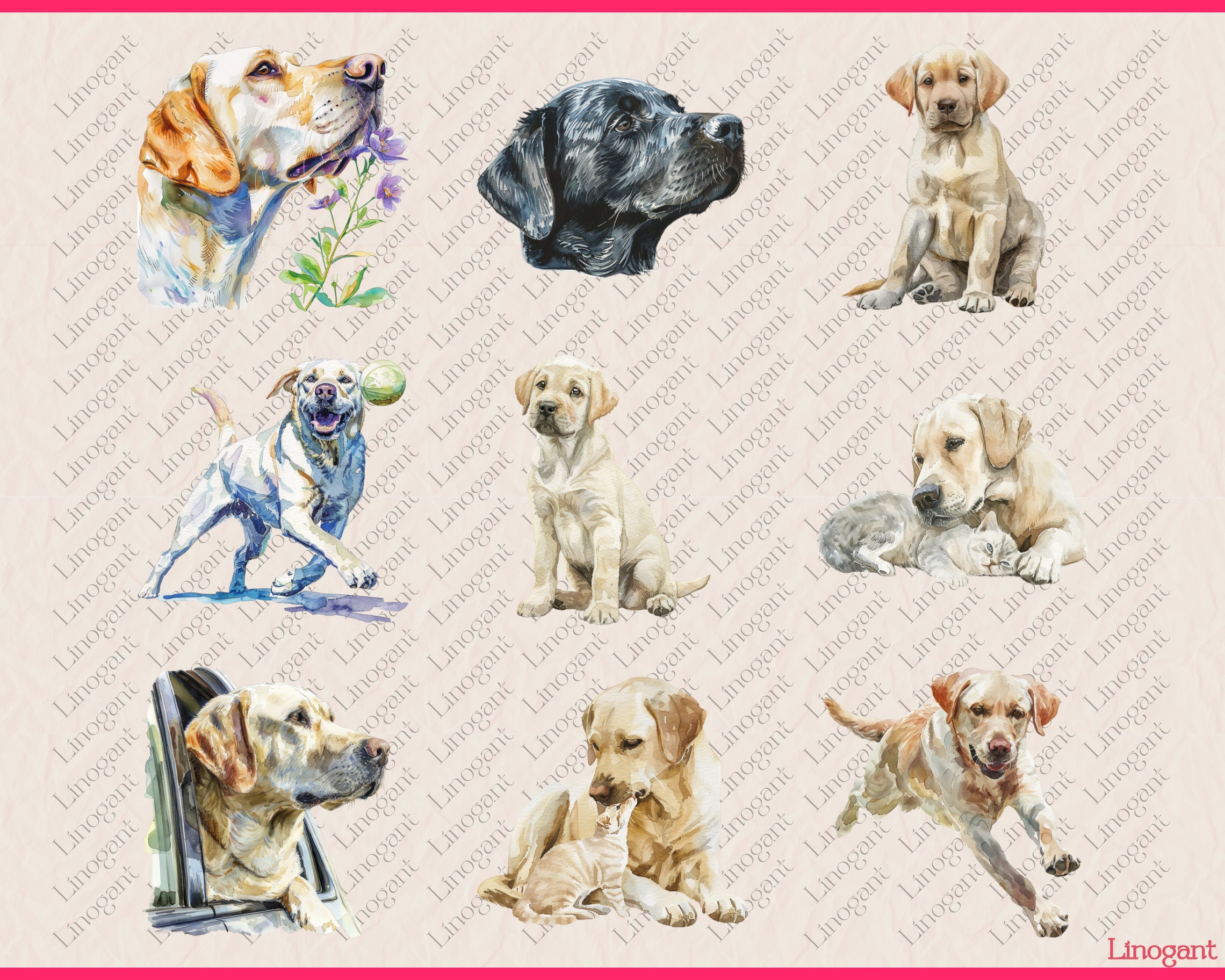 Watercolor Labrador Clipart Bundle, Dog Breed Clip Art Set, Animal Pet ...