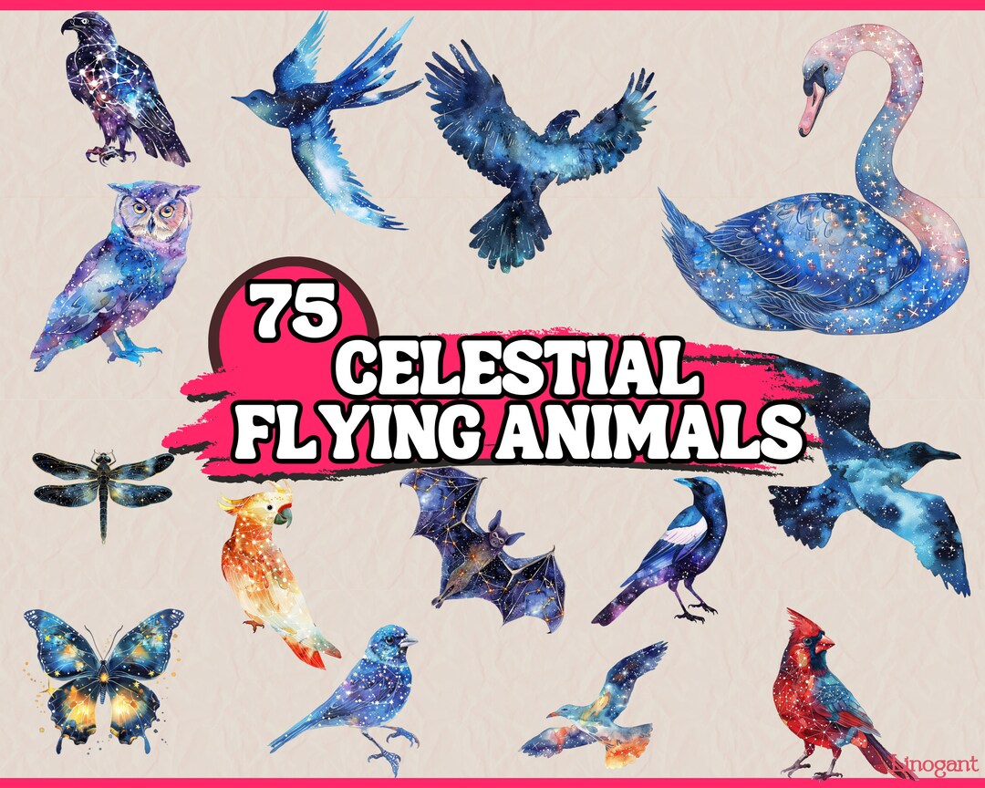 Watercolor Celestial Flying Animals Clipart Bundle, Cosmic Starry Birds ...