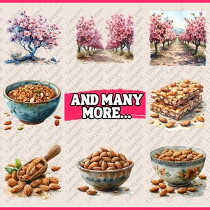 Watercolor Ultimate Nut Clipart Bundle, 289 Pngs Featuring Pistachio ...