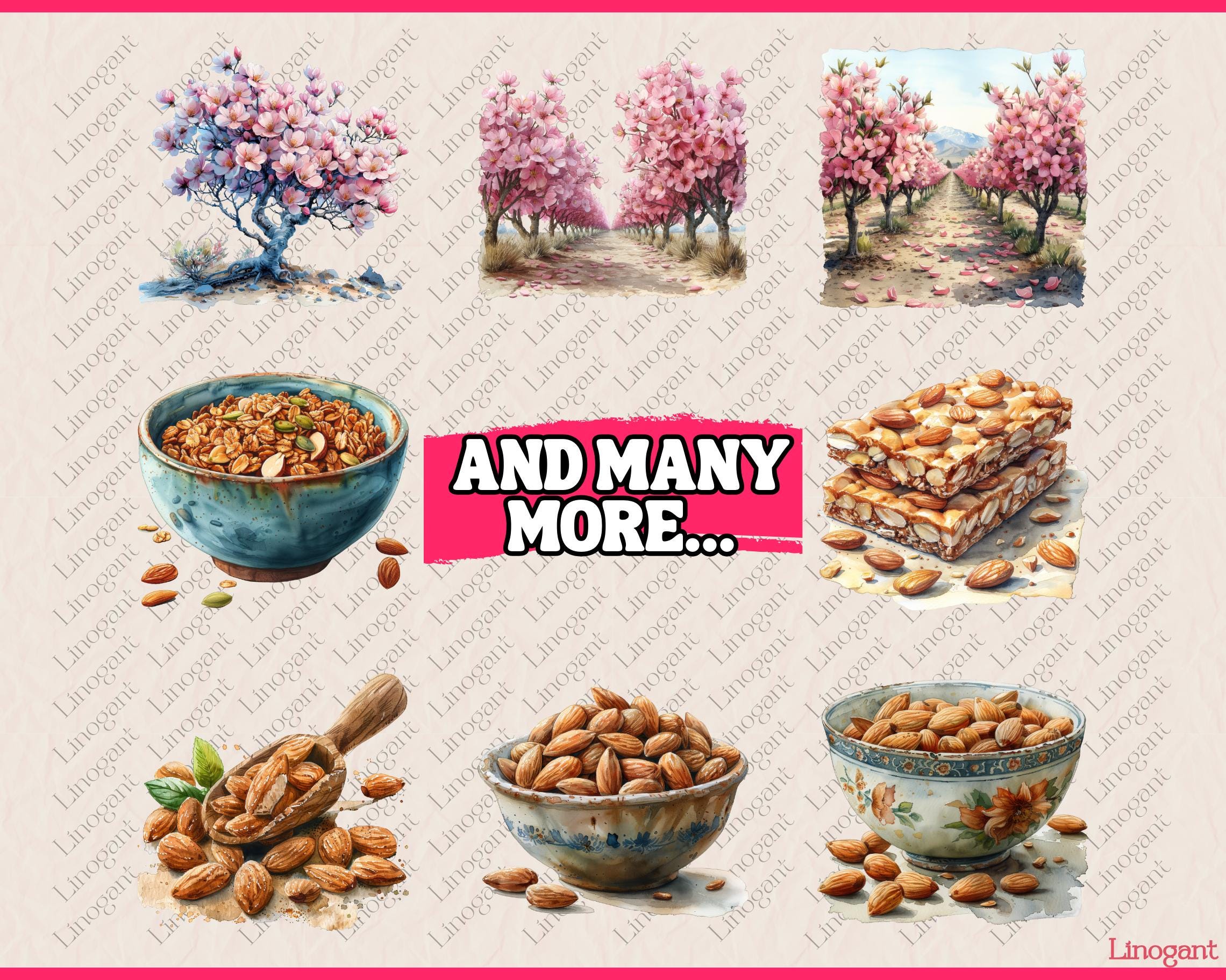 Watercolor Ultimate Nut Clipart Bundle, 289 Pngs Featuring Pistachio ...