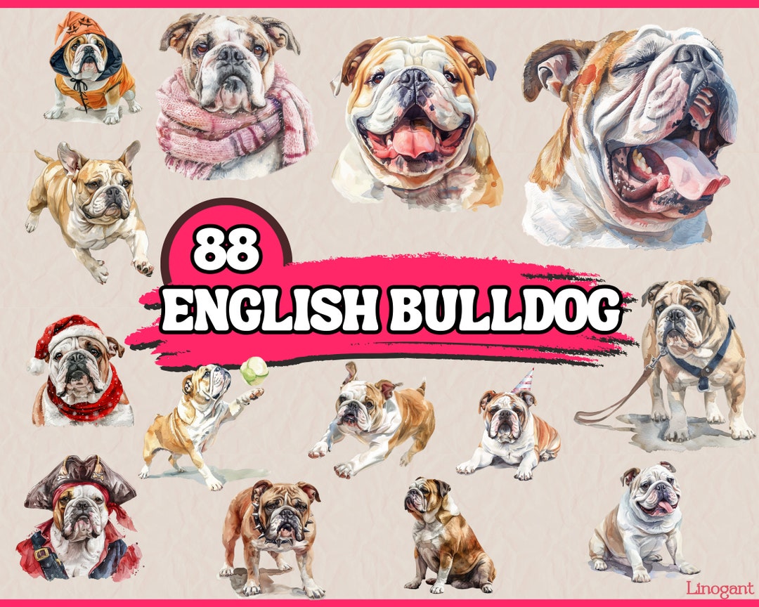 Watercolor English Bulldog Clipart Bundle, Dog Breeds Clip Art Set ...