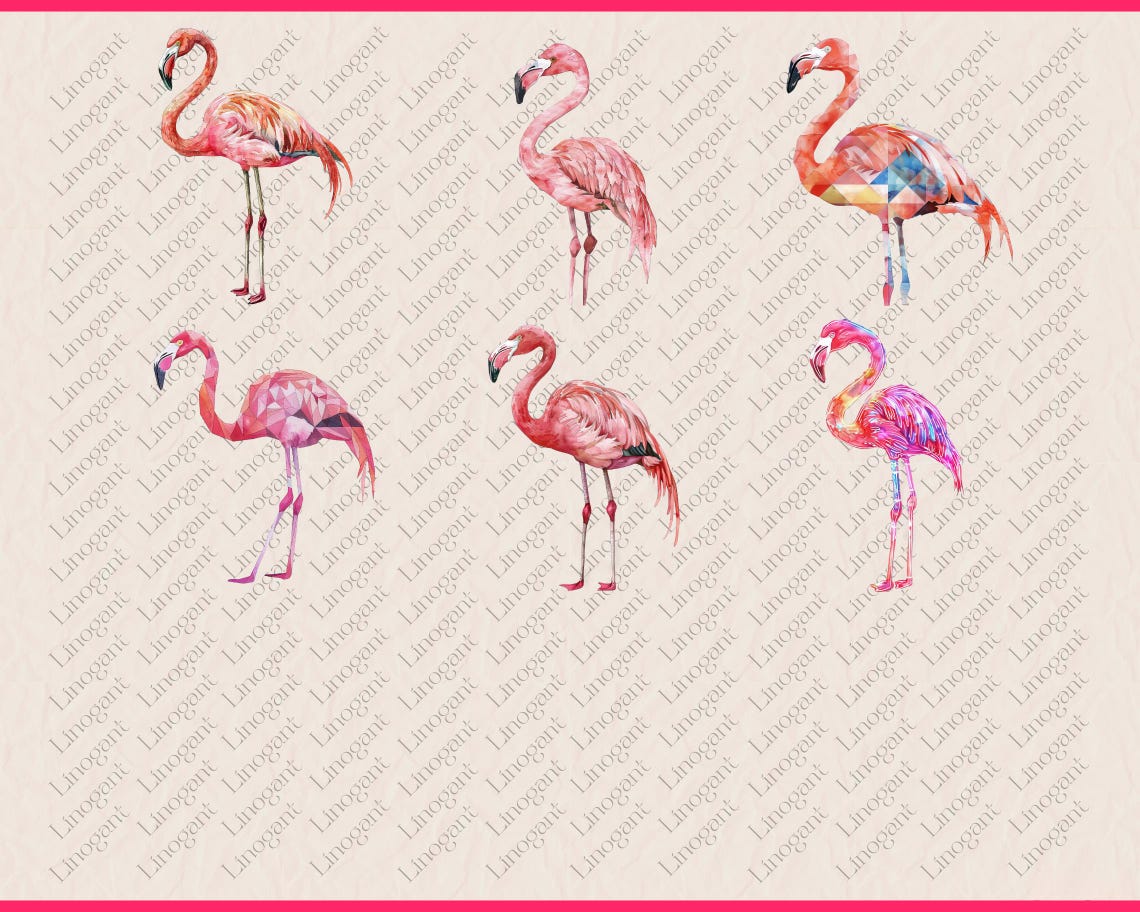 33 PNG Flamingo Clipart, Bird Species Clipart Featuring Flamingos ...
