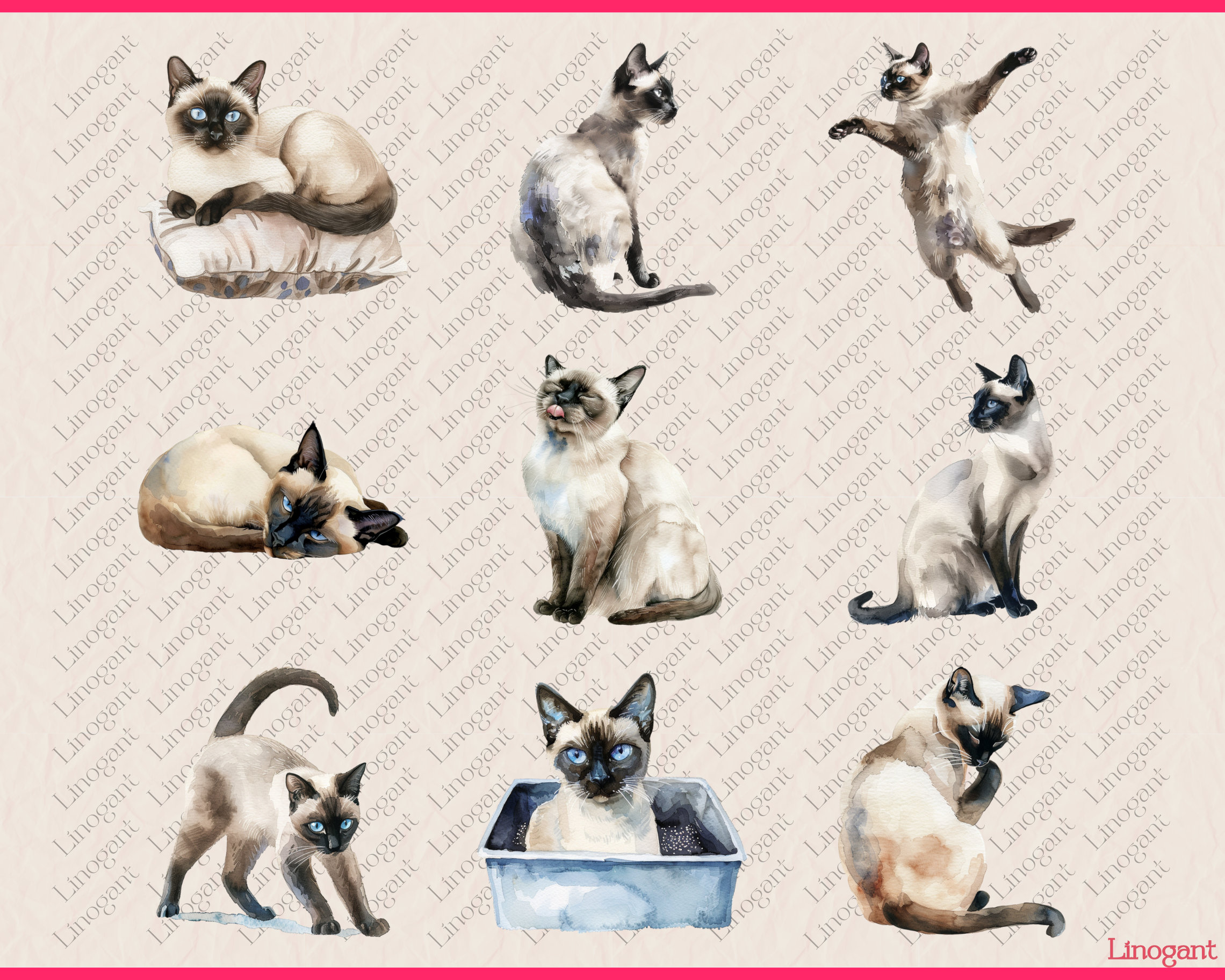 Watercolor Siamese Cat Clipart Bundle, Cat Breed Clip Art Set, Animal ...