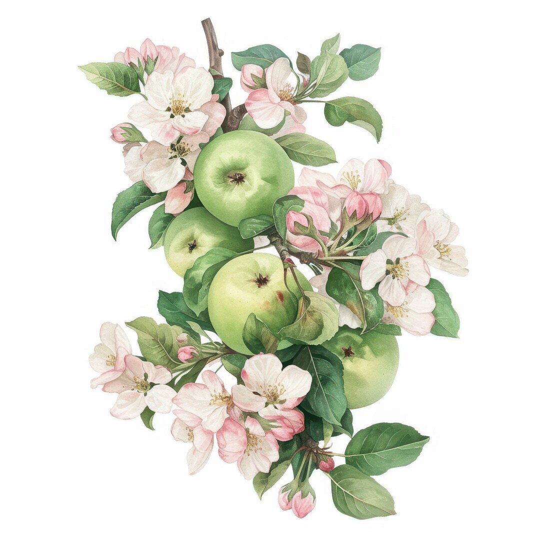 10 Apple Clipart Bundle, Fruit on Branch With Leaves and Flowers ...