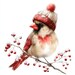 12 Festive Cardinal Clipart Bundle, Red Winter Bird Illustration ...