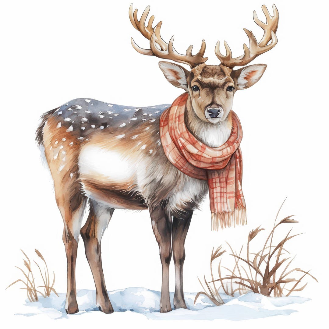 15 Reindeer Winter Clipart Bundle, Holiday Forest Animal Illustration ...