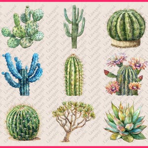 38 PNG Cactus With Flowers Clipart, Floral Cactus Clipart, Desert ...