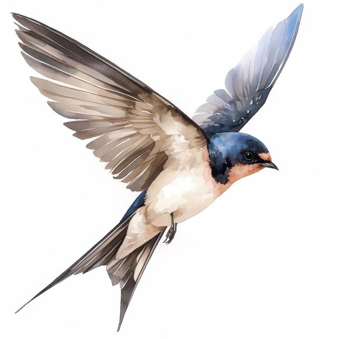 10 Swallow Clipart Bundle, Flying Bird Art Illustration, Printable ...