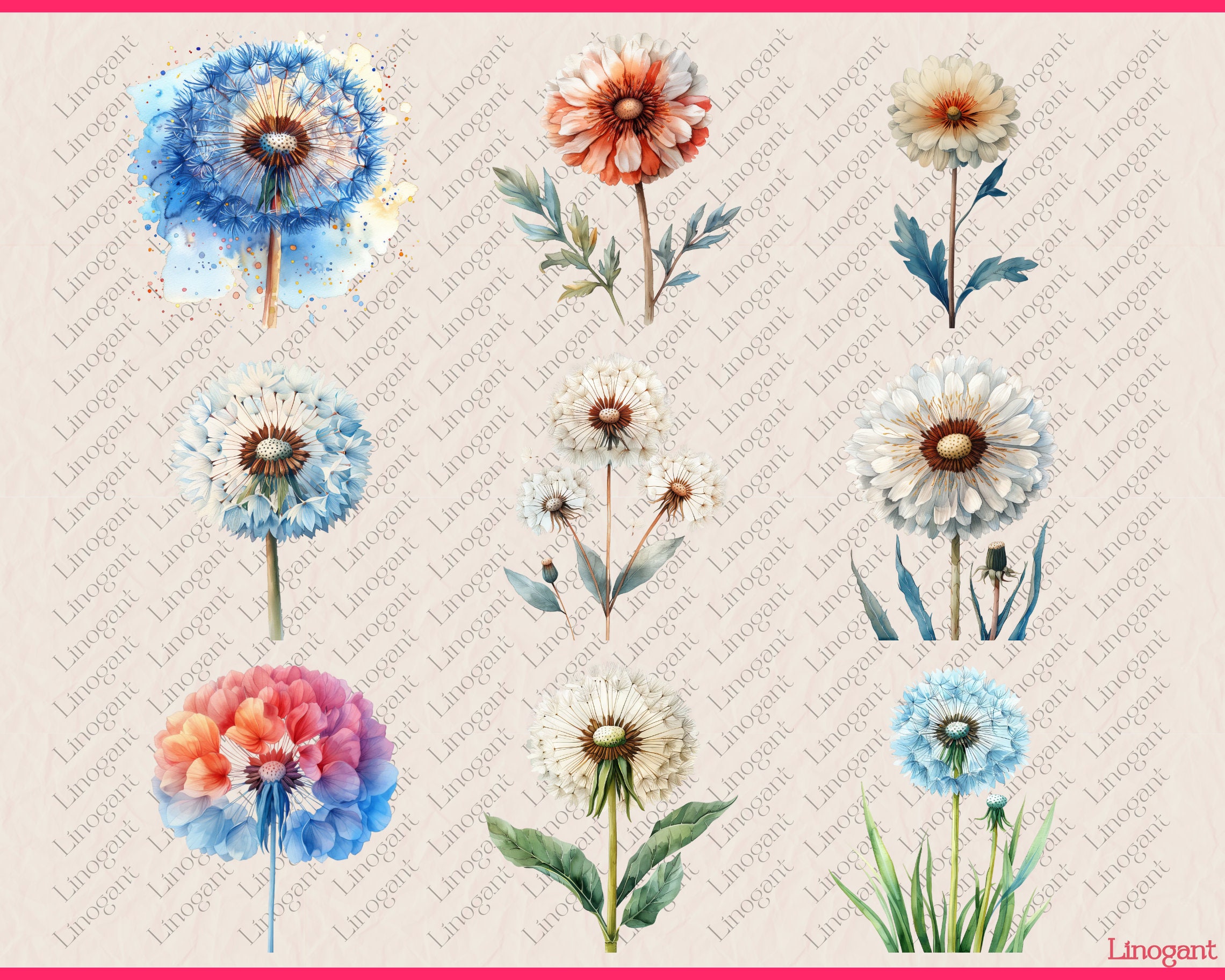 Watercolor Dandelion Clipart Bundle, Dandelions Flowers Clip Art Set ...