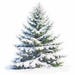 17 Watercolor Christmas Tree Clipart Bundle, Festive Pine Illustration ...
