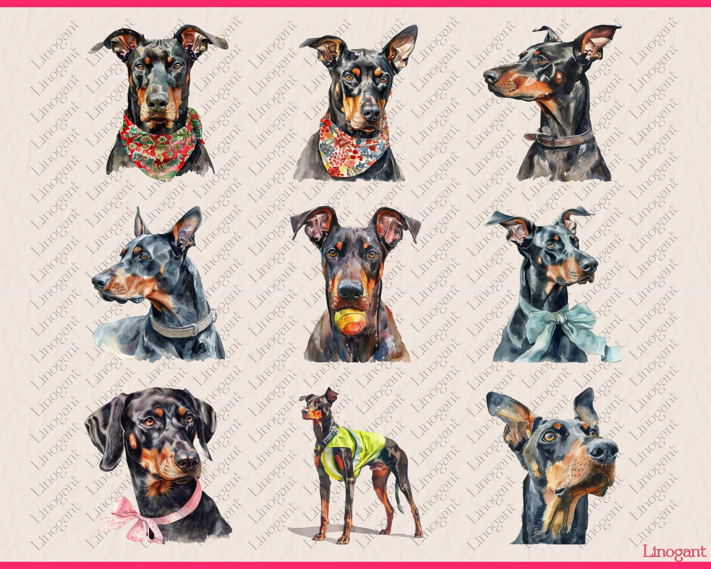 Watercolor Doberman Clipart Bundle, Dog Breeds Clip Art Set, Animal PNG ...