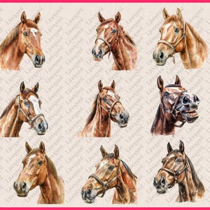 31 PNG Happy Horse Clipart | Smiling Horse Clipart, Cute Horse Face ...