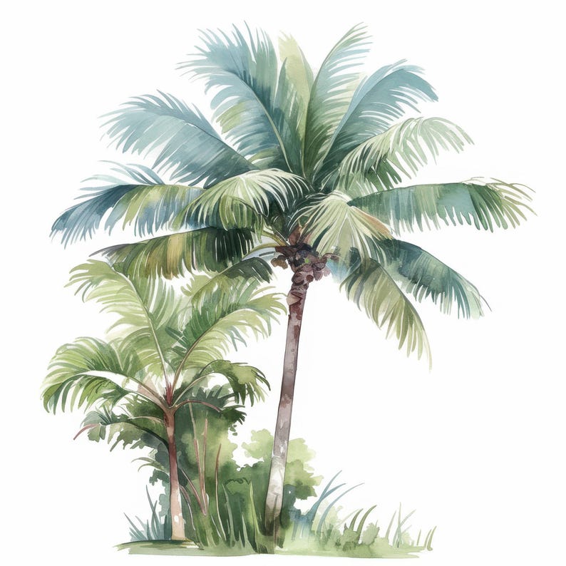 12 Tropical Palm Watercolor Clipart, Island Tree Beach Illustration ...