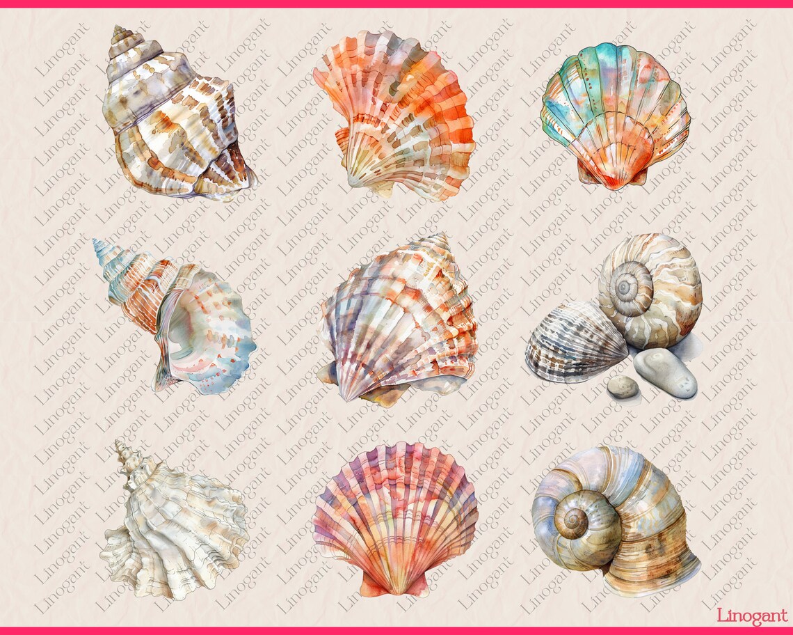 Watercolor Coral and Seashells Clipart Bundle, Under Sea With Coral ...