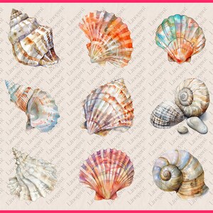 Watercolor Coral and Seashells Clipart Bundle, Under Sea With Coral ...