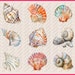 Watercolor Coral and Seashells Clipart Bundle, Under Sea With Coral ...