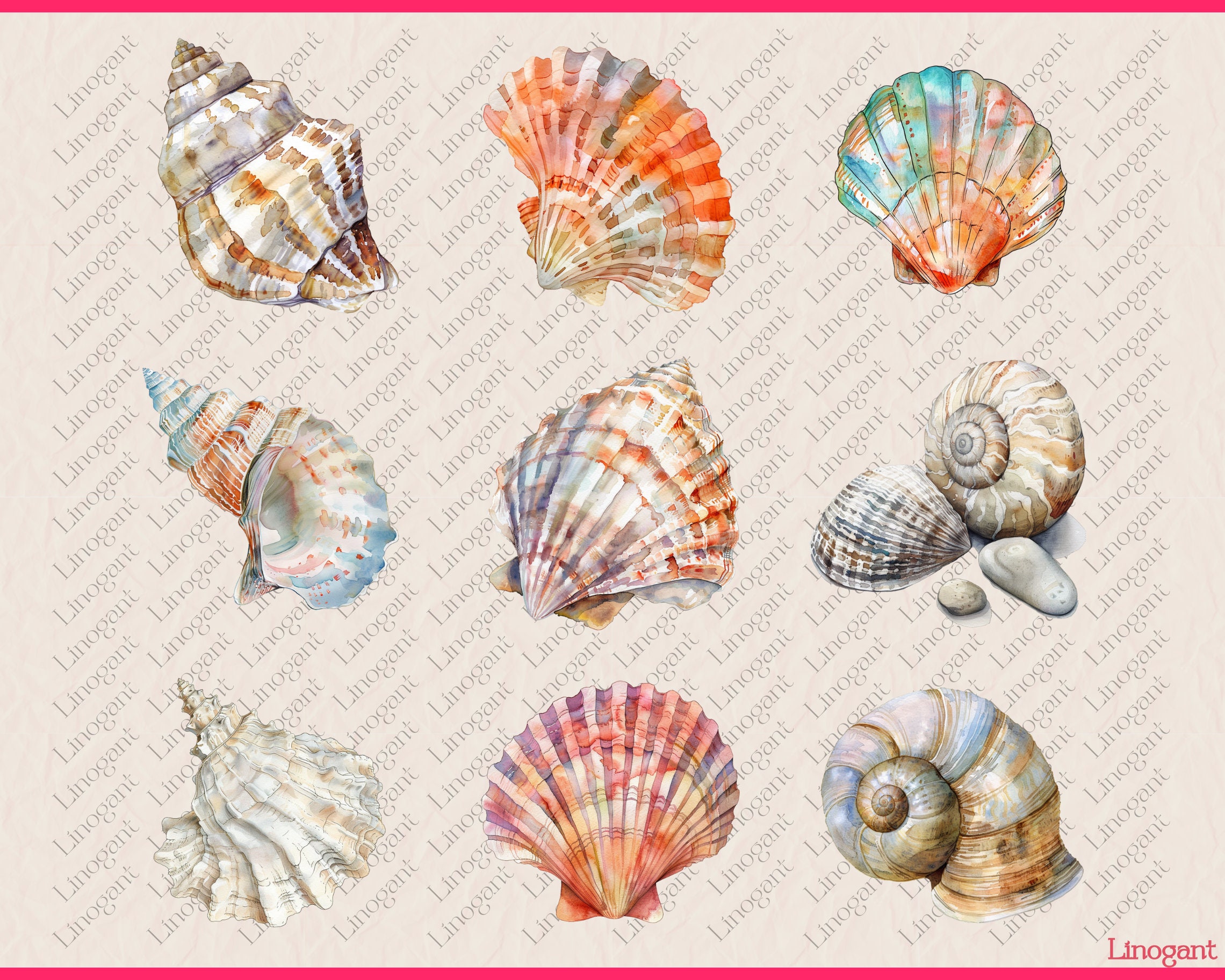 Watercolor Coral and Seashells Clipart Bundle, Under Sea With Coral ...