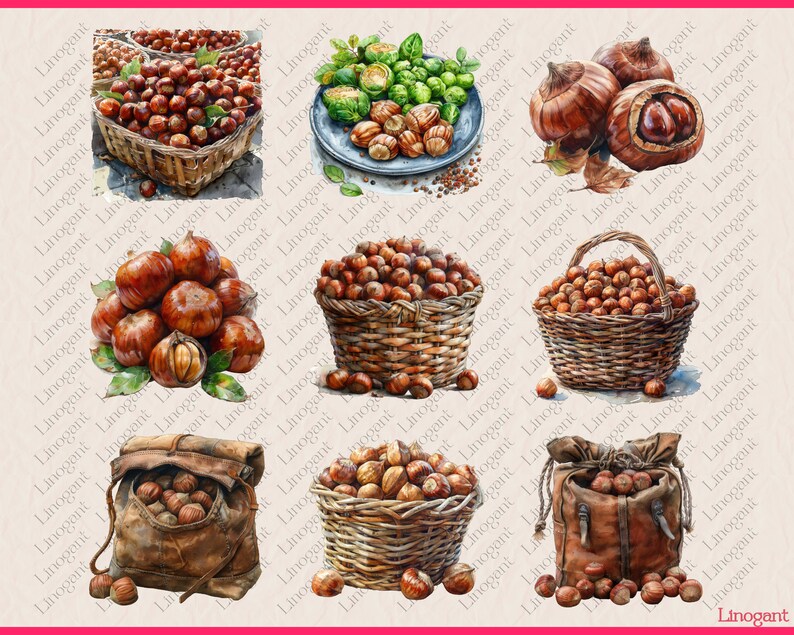 Watercolor Chestnut Clipart Bundle, Chestnut Nuts Clip Art Set, Box ...
