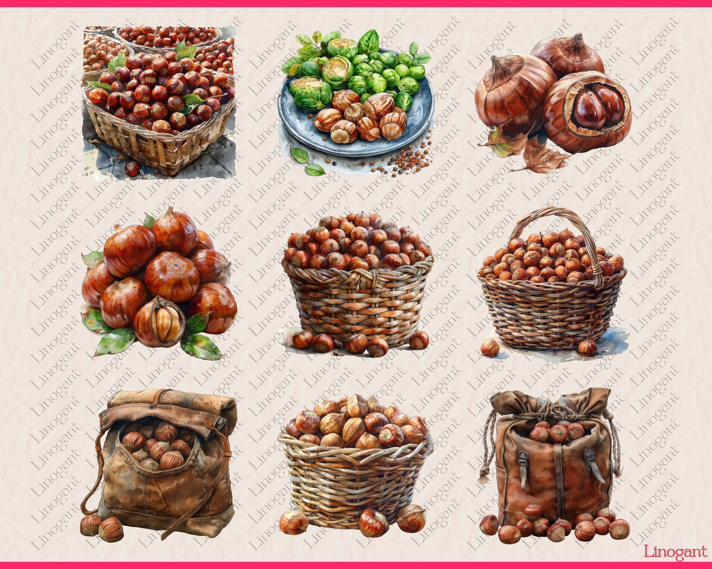 Watercolor Chestnut Clipart Bundle, Chestnut Nuts Clip Art Set, Box ...