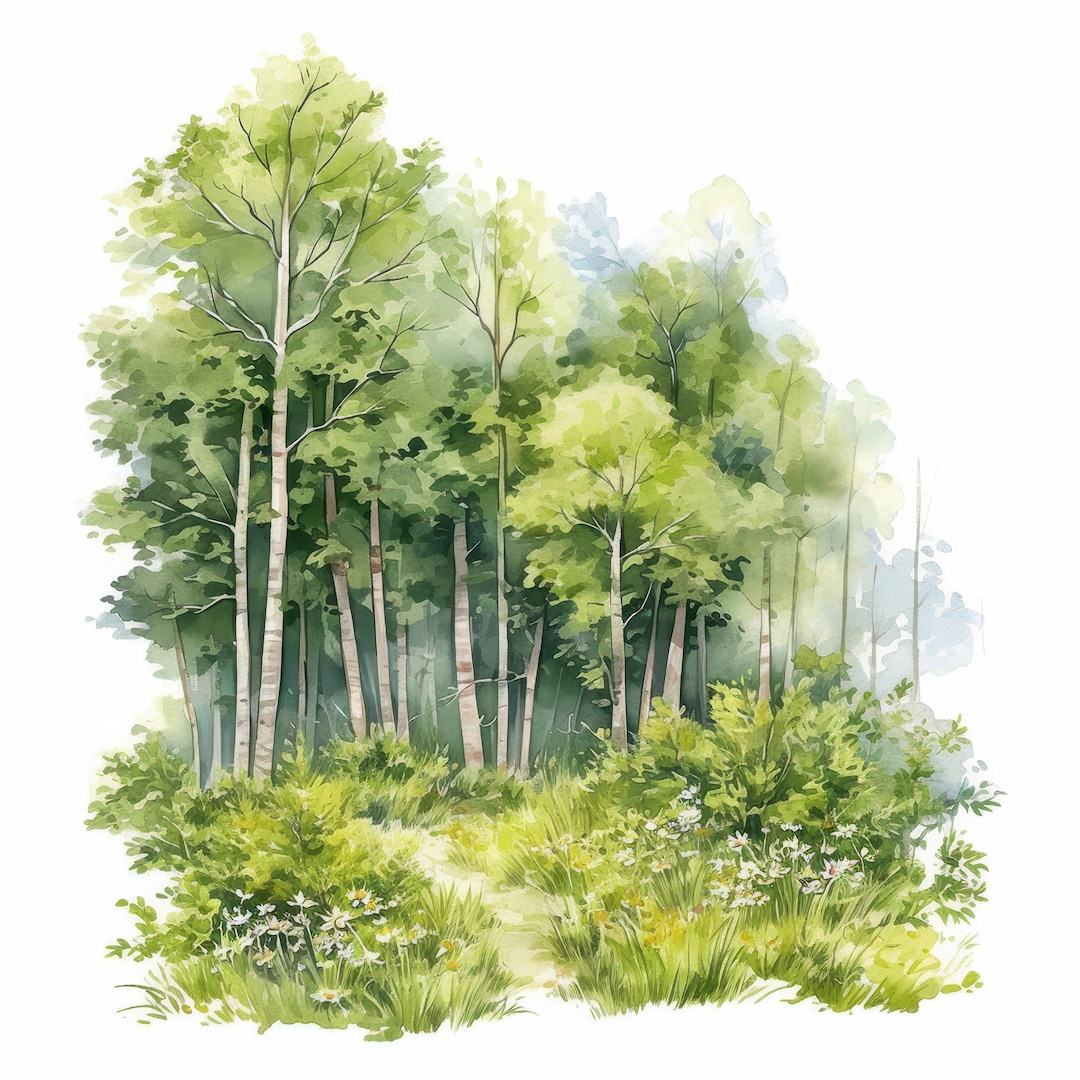 18 Spring Forest Clipart Bundle, Seasonal Woodland Nature Illustration ...