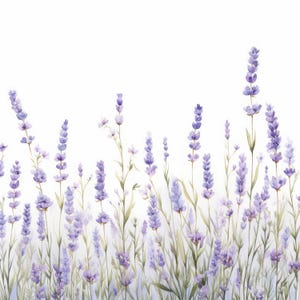 15 Lavender Clipart Floral Bundle, Soft Purple Art Illustration ...