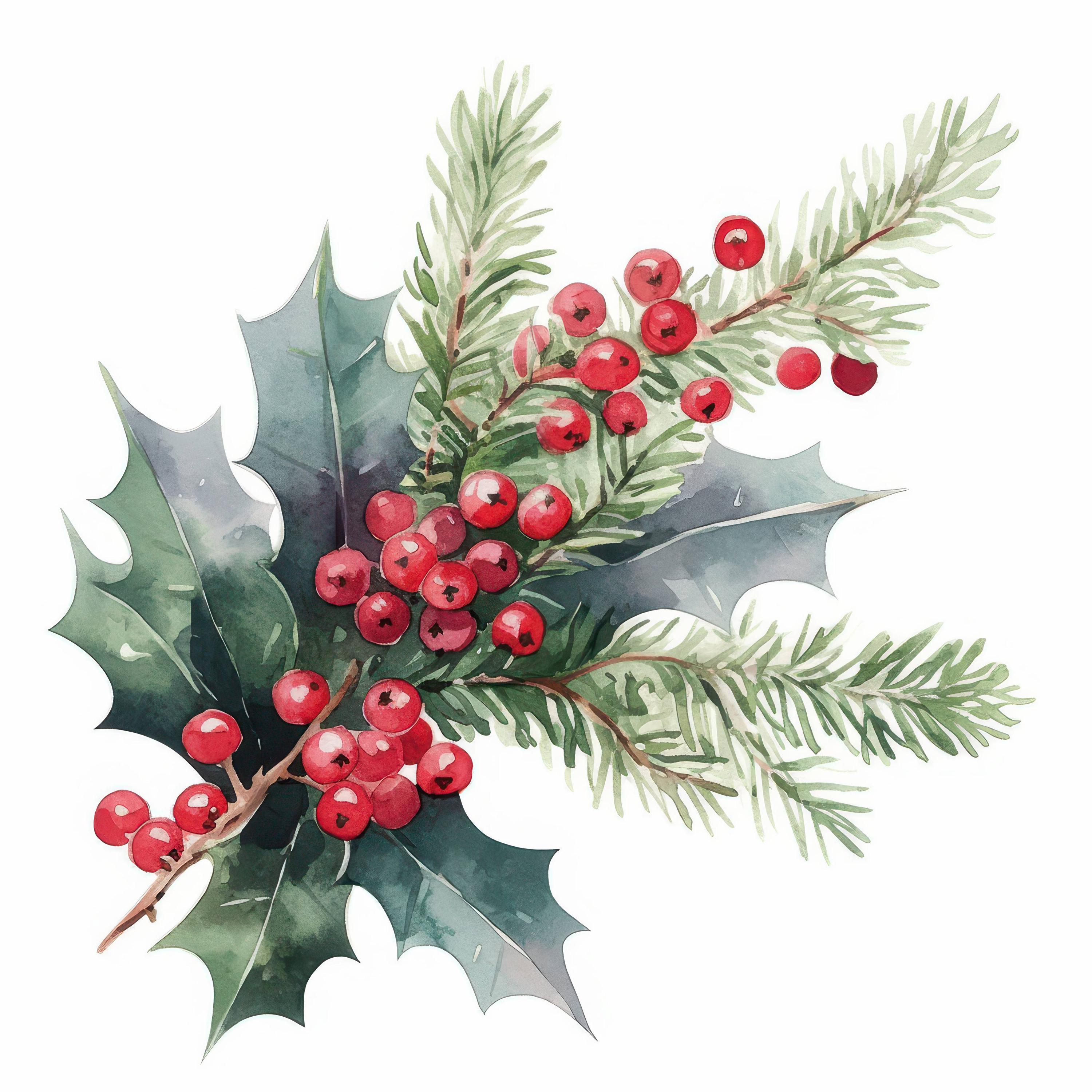 12 Evergreen Christmas Decor Clipart Bundle, Ornaments Illustration ...