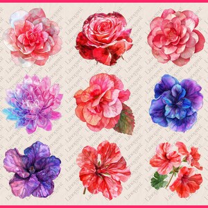 44 PNG Neon Flower With Petal Clipart, Floral Clipart With Vivid ...
